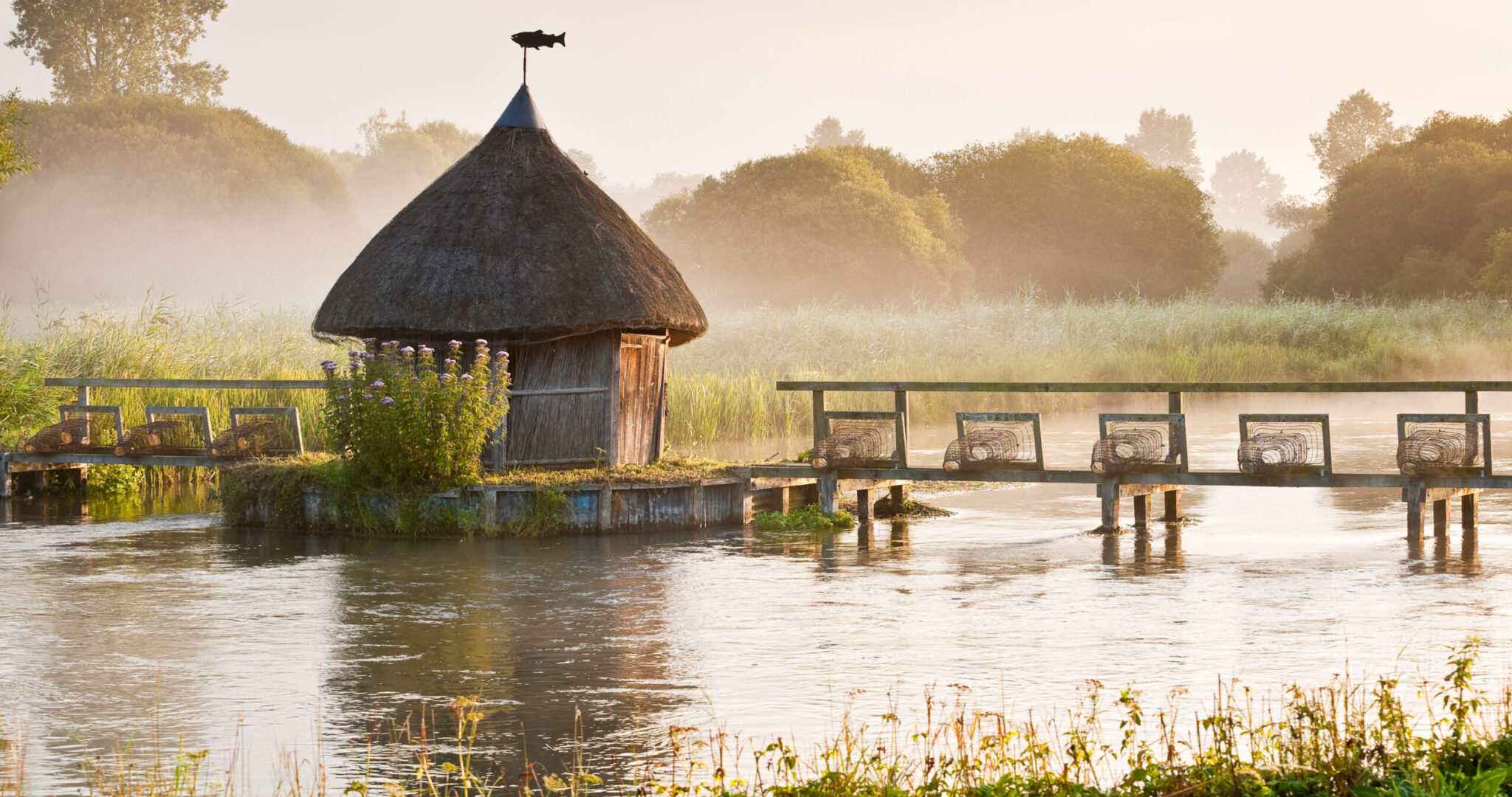 Chalkstream Fly Fishing | Wilde Trout
